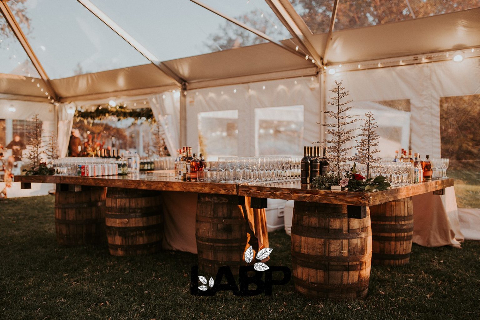 Wedding Party Tent Gallery | Allied Event Solutions Party Rentals