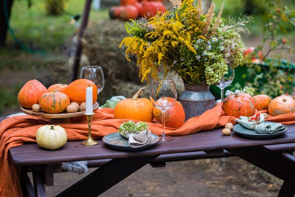Throwing a Fantastic Fall Festival at Home | Allied Event Solutions ...